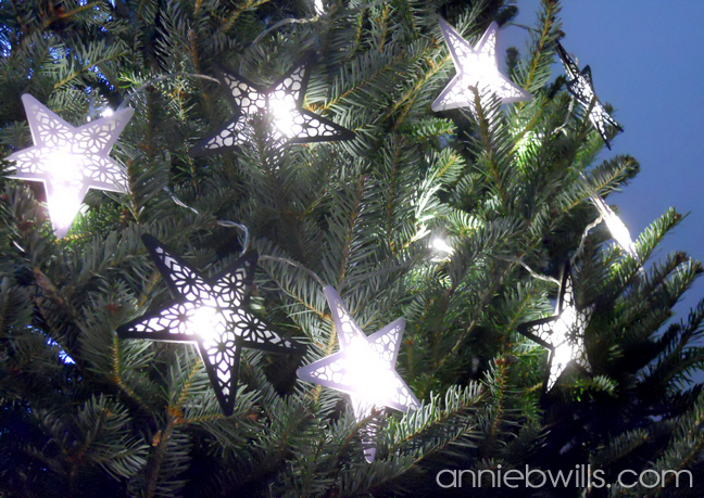 Starlight Garland – Annie Williams